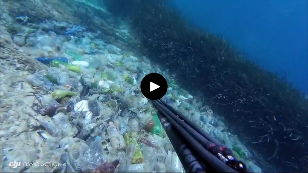 HRVATSKA IMA NAJČIŠĆE MORE? Ovako izgleda podmorje Pelješca - Klik Ploče