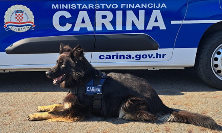 Carinska uprava zapošljava 41 službenika na neodređeno u više gradova ...